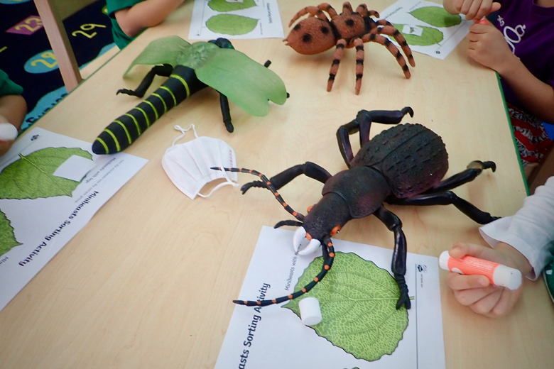 Insect Investigator - After School - Kspace International Kindergarten ...